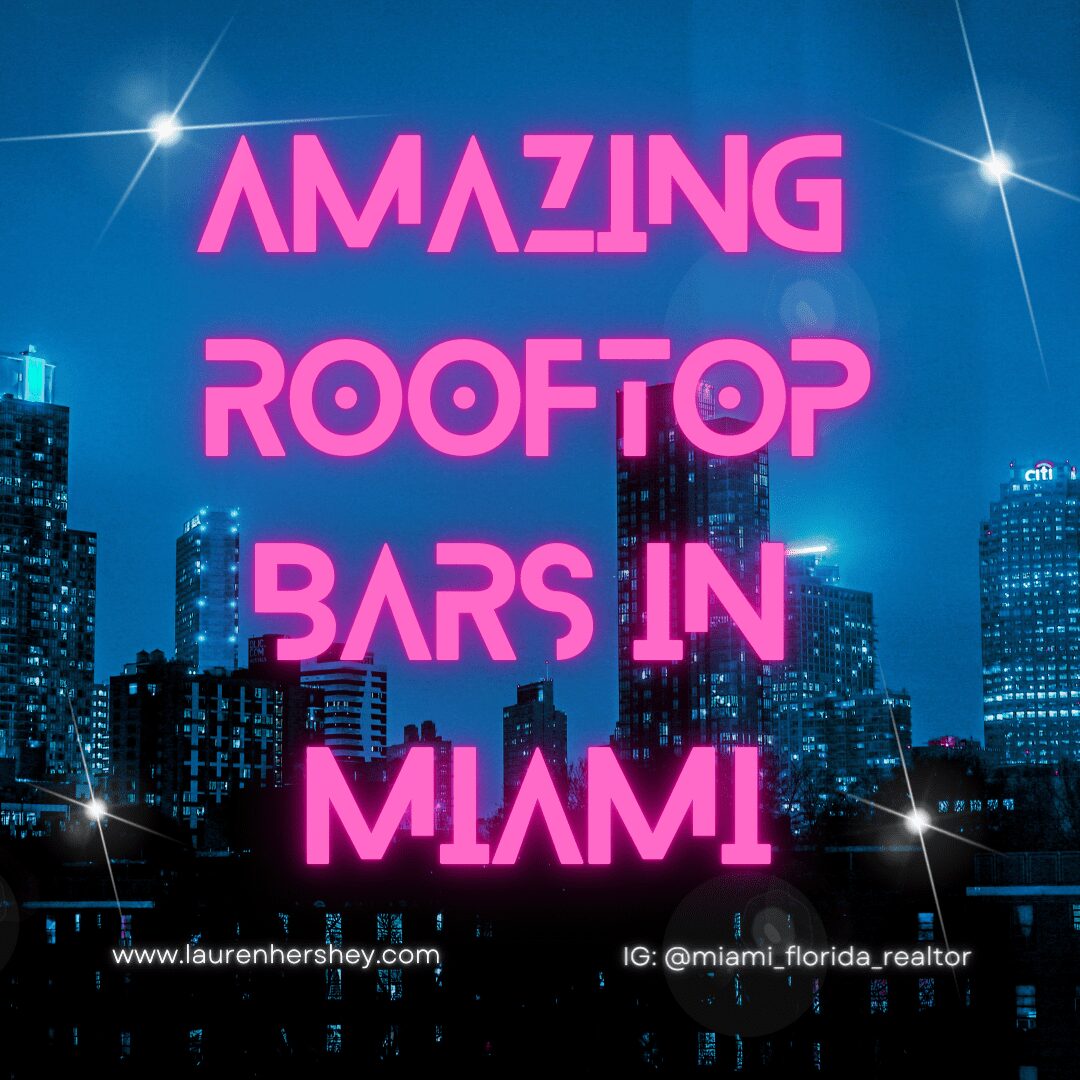 MIAMI'S AMAZING HIGH RISE LOUNGE BARS | ROOFTOP BARS